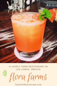 Flora Farm Dishes up Yummy Farm-to-Table Eats – Sand In My Suitcase