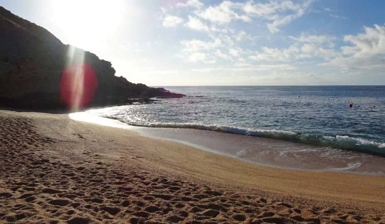 Snorkeling at Santa Maria Beach, Cabo: All You Need to Know