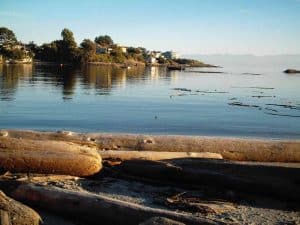 10 Best Beaches in Victoria, BC (By Locals)