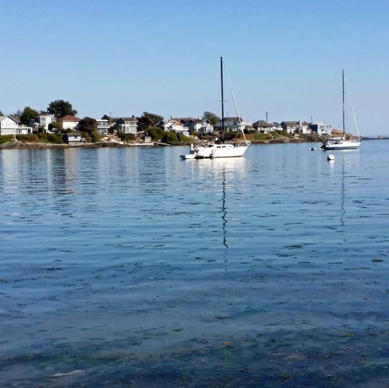 10 Best Beaches in Victoria, BC (By Locals)