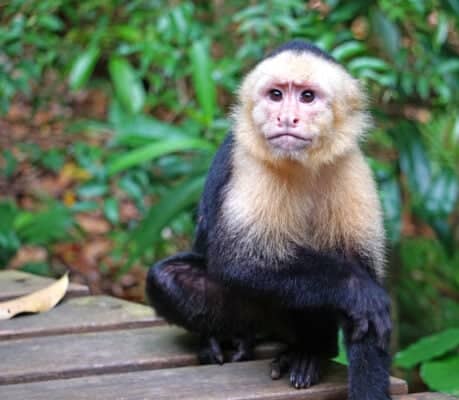 Travel Writing Awards – Sand In My Suitcase