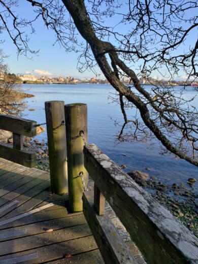 10 Easy Scenic Walks in Victoria, BC