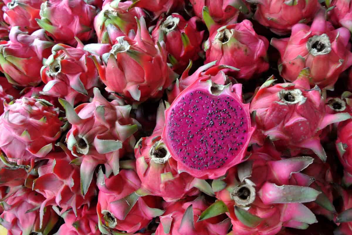 17 Exotic Types of Fruit in Mexico You Must Try!