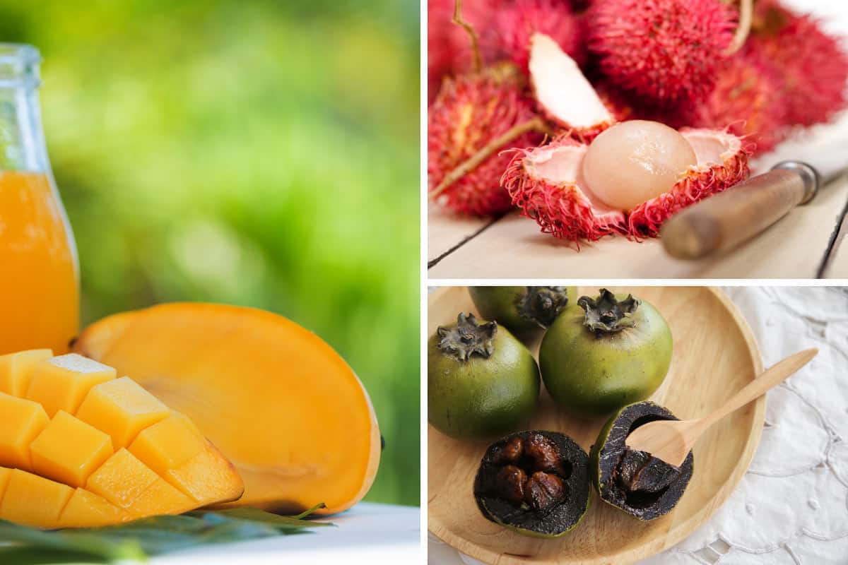 17 Exotic Types of Fruit in Mexico You Must Try | Sand In My Suitcase