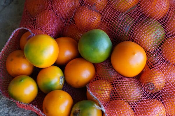 17 Exotic Types of Fruit in Mexico You Must Try | Sand In My Suitcase