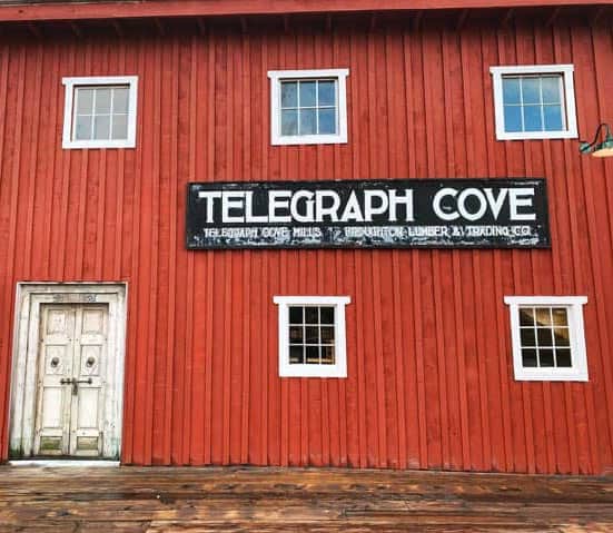 Epic Things to Do in Telegraph Cove for Adventure Lovers | Sand In My ...