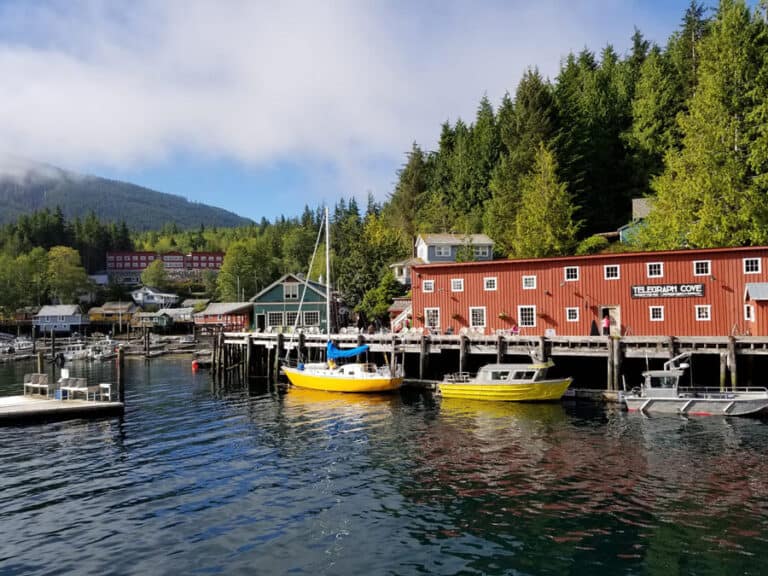 Epic Things to Do in Telegraph Cove for Adventure Lovers