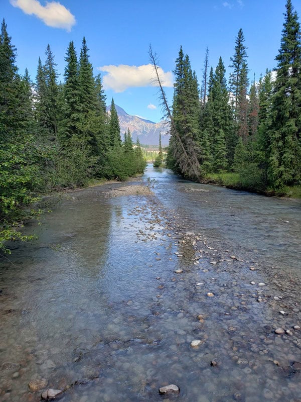 Old Fort Point Hike, Jasper: Recommended Route and Guide | Sand In My ...