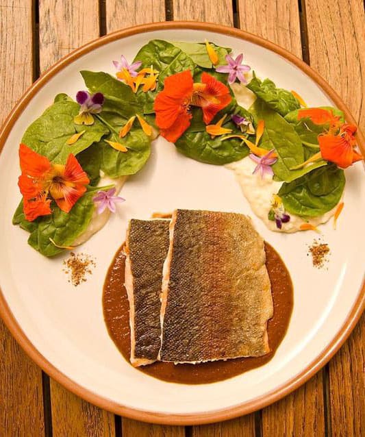 7 Best Things to Do in Morelia, Mexico | Sand In My Suitcase