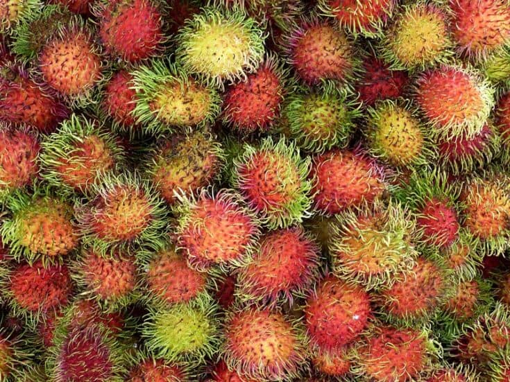 17 Exotic Types of Fruit in Mexico You Must Try!
