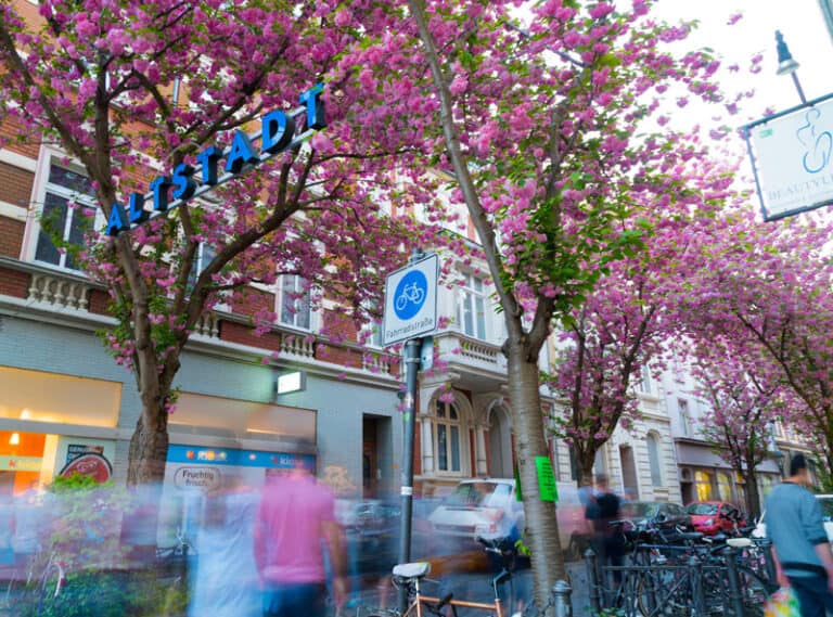 17 Delightful Things to Do in Bonn, Germany | Sand In My Suitcase