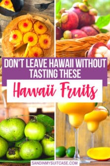 Delicious Fruit in Hawaii? Taste These 25 Fruits! | Sand In My Suitcase