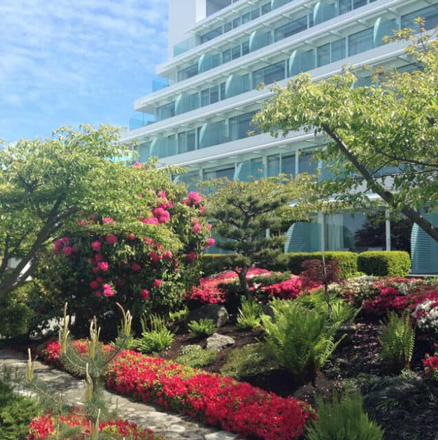 10 Best Hotels in Victoria, BC (An Insider's Guide)