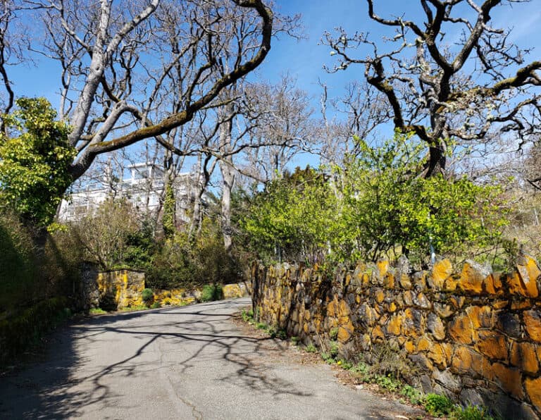 10 Easy Scenic Walks in Victoria, BC