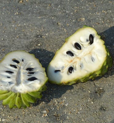 17 Exotic Types of Fruit in Mexico You Must Try | Sand In My Suitcase