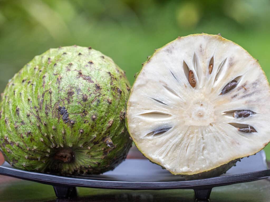 Delicious Fruit in Hawaii? Taste These 25 Fruits! | Sand In My Suitcase