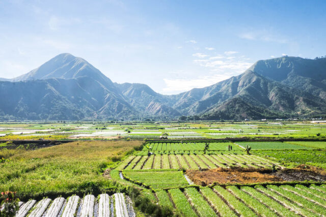 7 Best Lombok Attractions, From Rice Terraces to Pink Beaches