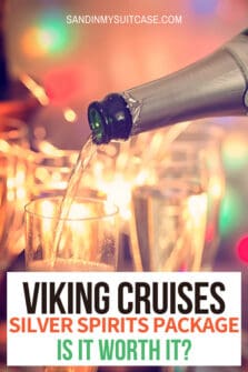 Viking Cruise Bar Menu and Viking Silver Spirits Package – Sand In My ...