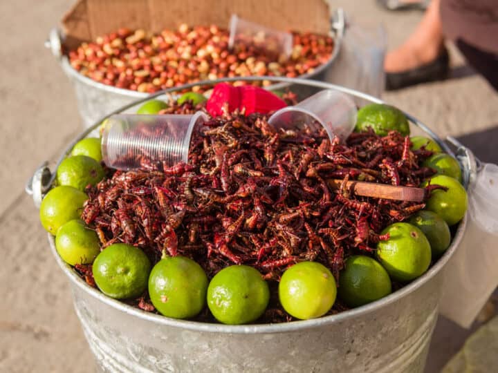 29 Yummy (and Funny) Facts About Mexican Food | Sand In My Suitcase