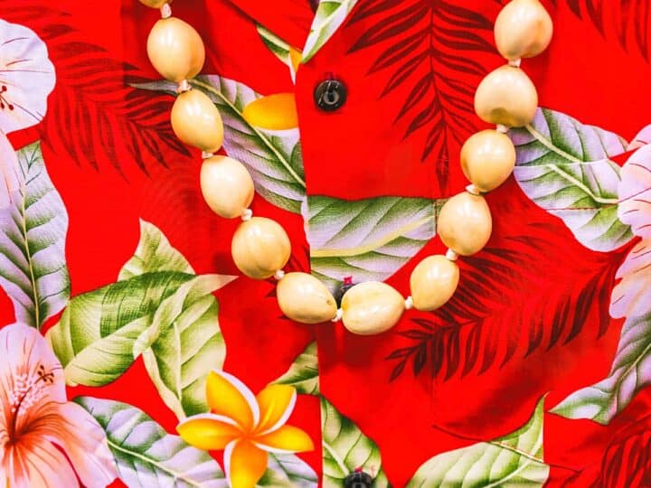 17 Best Souvenirs From Hawaii (and Authentic Hawaiian Gifts)