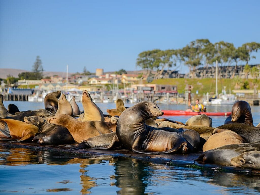 Discover 15 Charming Northern California Coastal Towns!