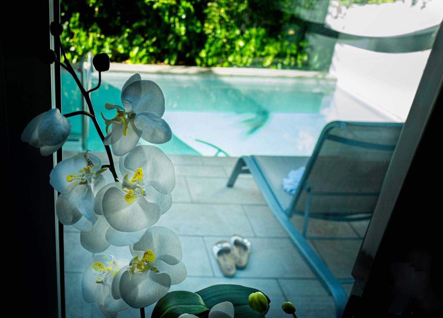 25+ Best Hotels With Private Pools In-Room in USA