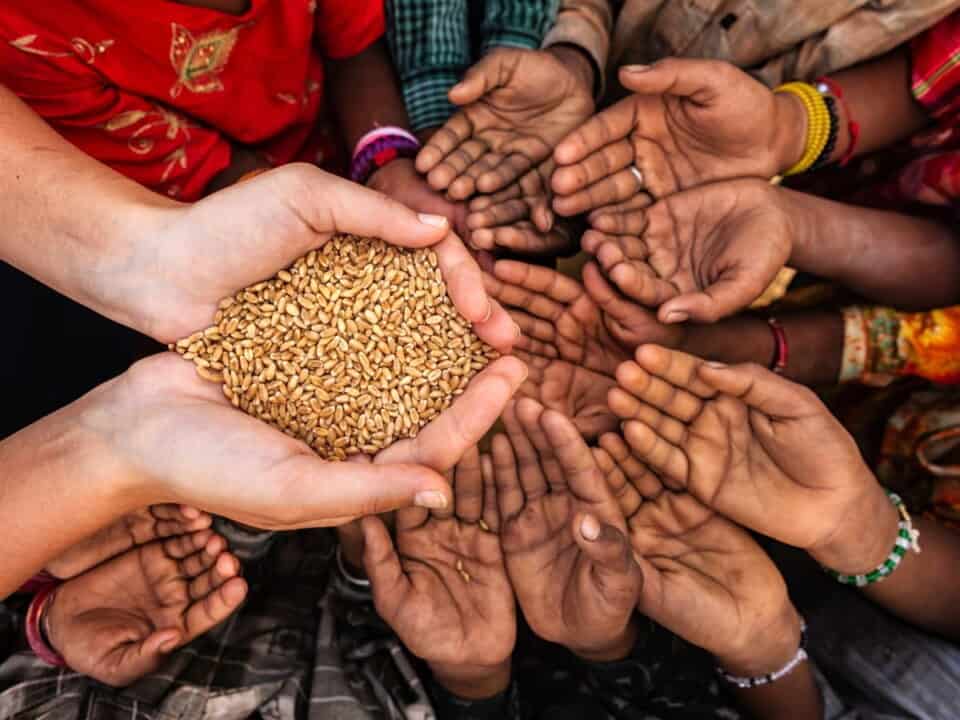 How to Be a Responsible Tourist: 30 Ethical Travel Tips – Sand In My ...