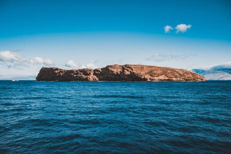 Snorkeling Maui (Molokini and Turtle Town): Tips + Best Tours – Sand In ...