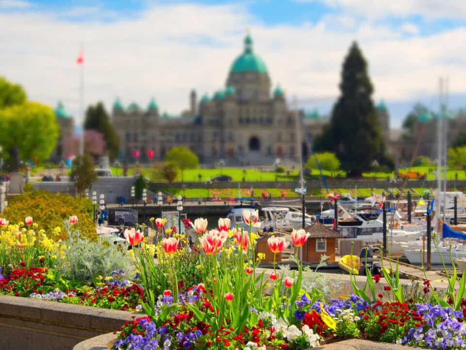 7 Best Gardens in Victoria, BC (Including Butchart Gardens)