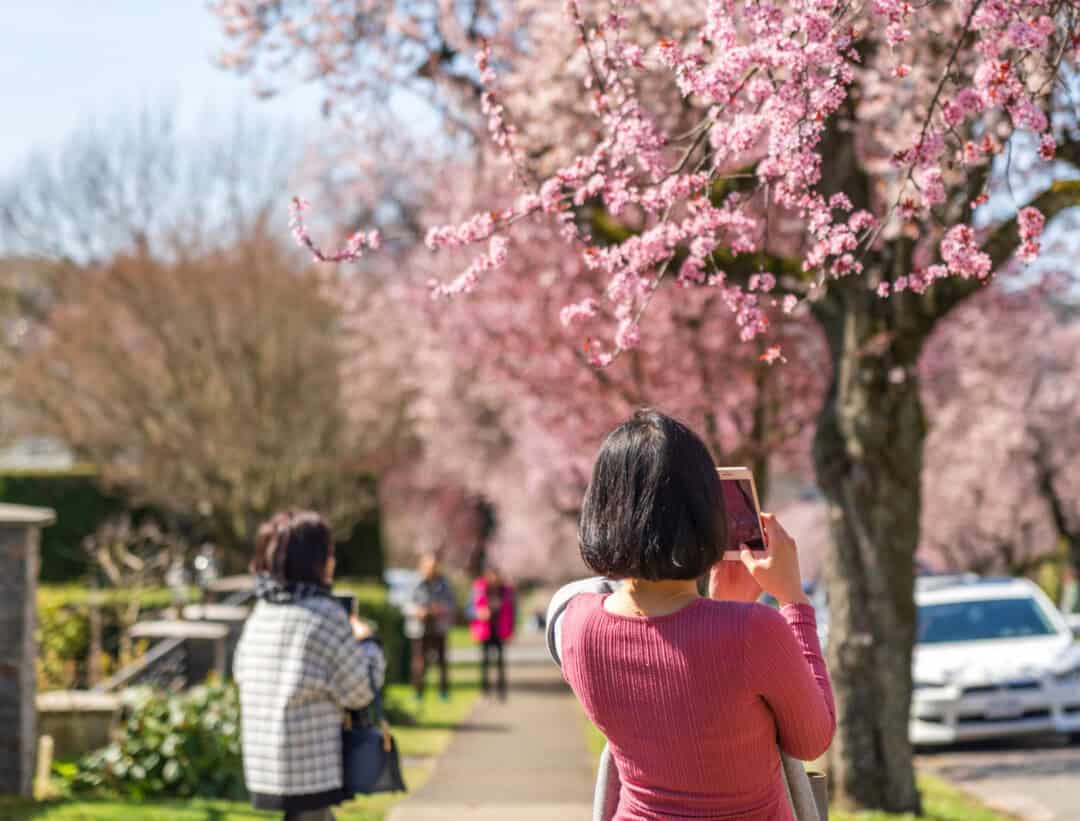 British Columbia Travel Secrets (A Travel Guide by Locals)