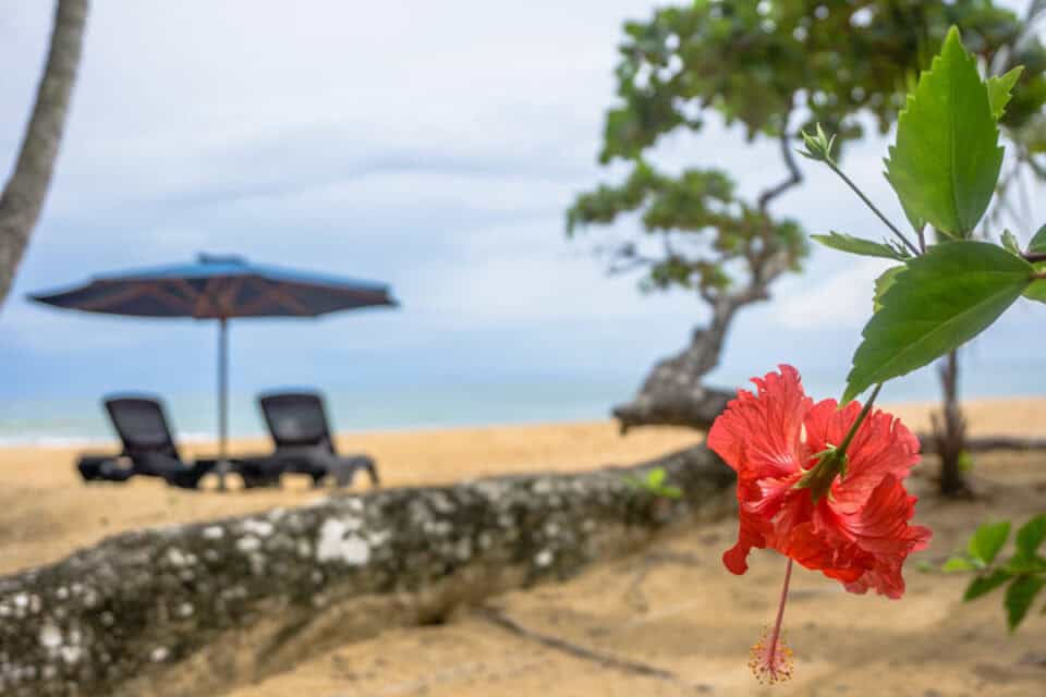 7 Best Hotels in Bocas del Toro (Panama) for Eco-Luxury