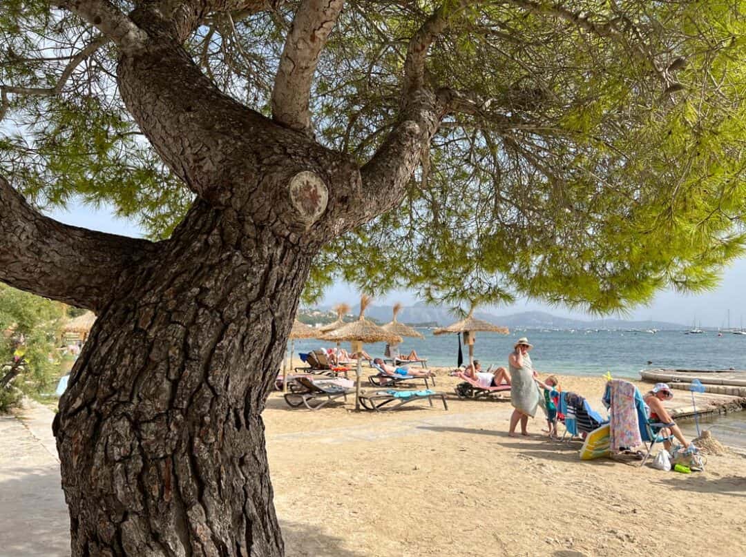 10 Best Things to Do in Puerto Pollensa, Mallorca