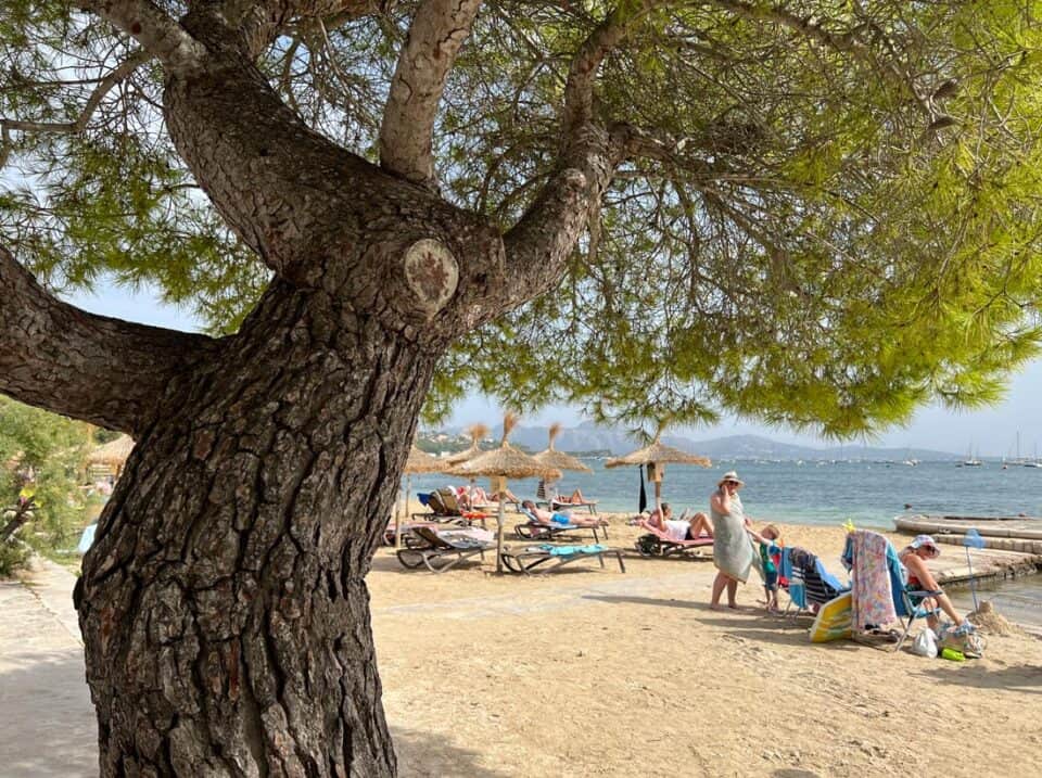 10 Best Things to Do in Puerto Pollensa, Mallorca