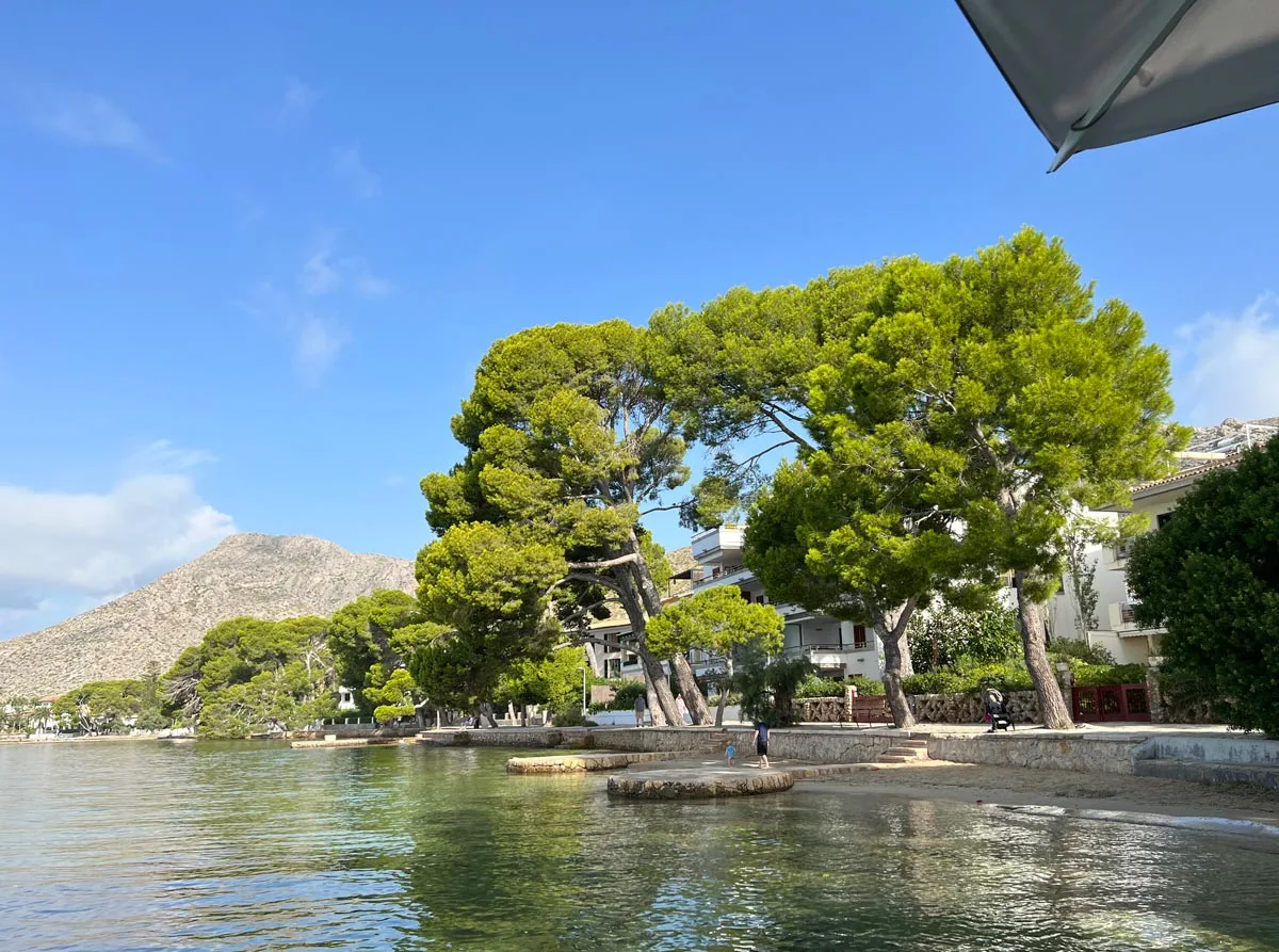 10 Best Things to Do in Puerto Pollensa, Mallorca