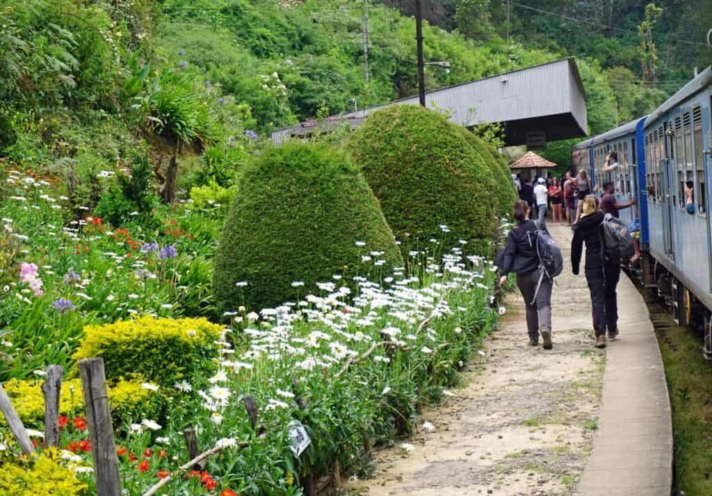 Kandy to Ella Train: A Scenic First Class Ride!